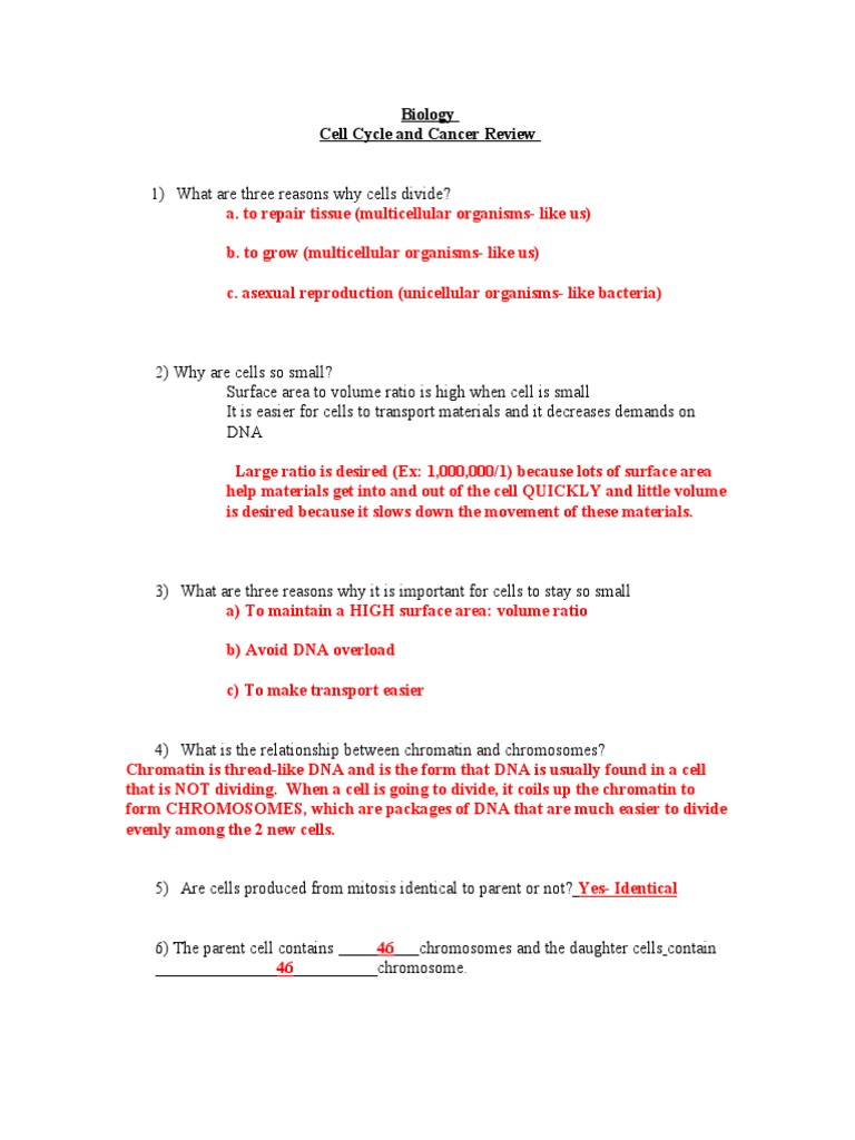 Cell Cycle and Cancer Overview | PDF | Mitosis | Cell Cycle
