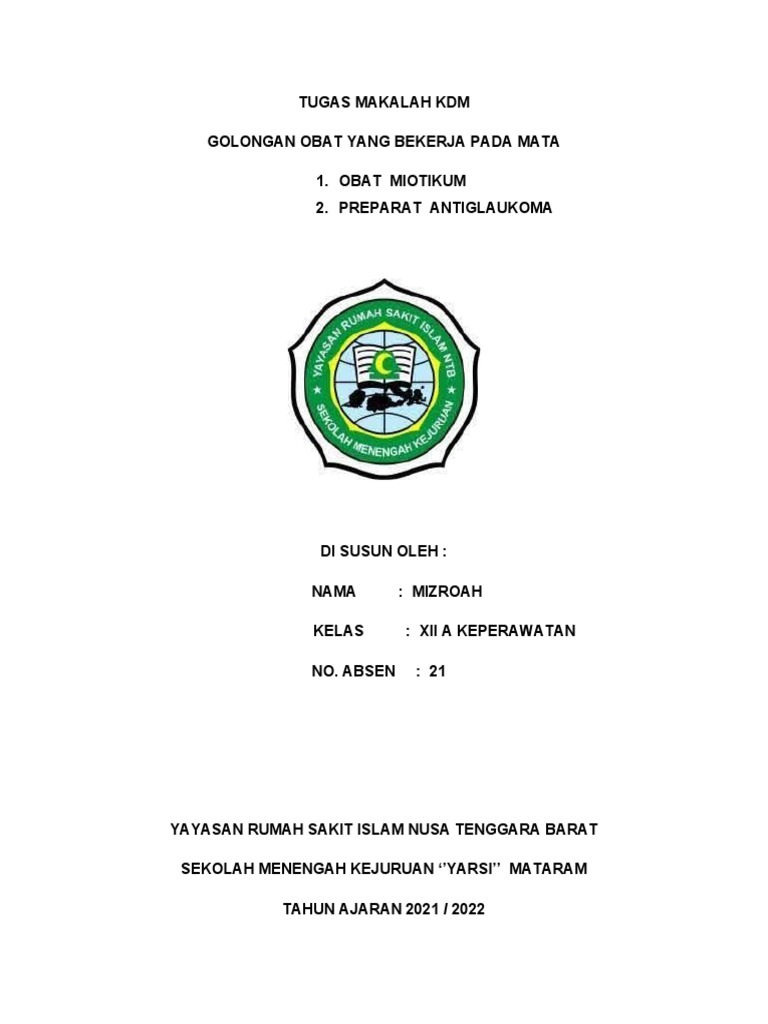 Makalah KDM | PDF