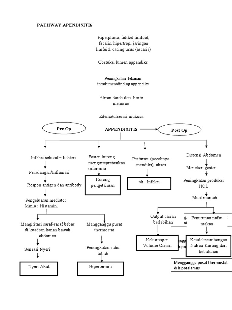 Pathway Apendiks | PDF