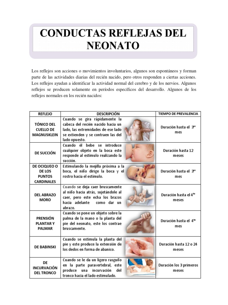 Conducta Refleja | PDF | Infantes