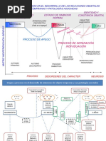 Flexiplen-B12 Prospecto | PDF | Medicamentos con receta | Droga anti ...