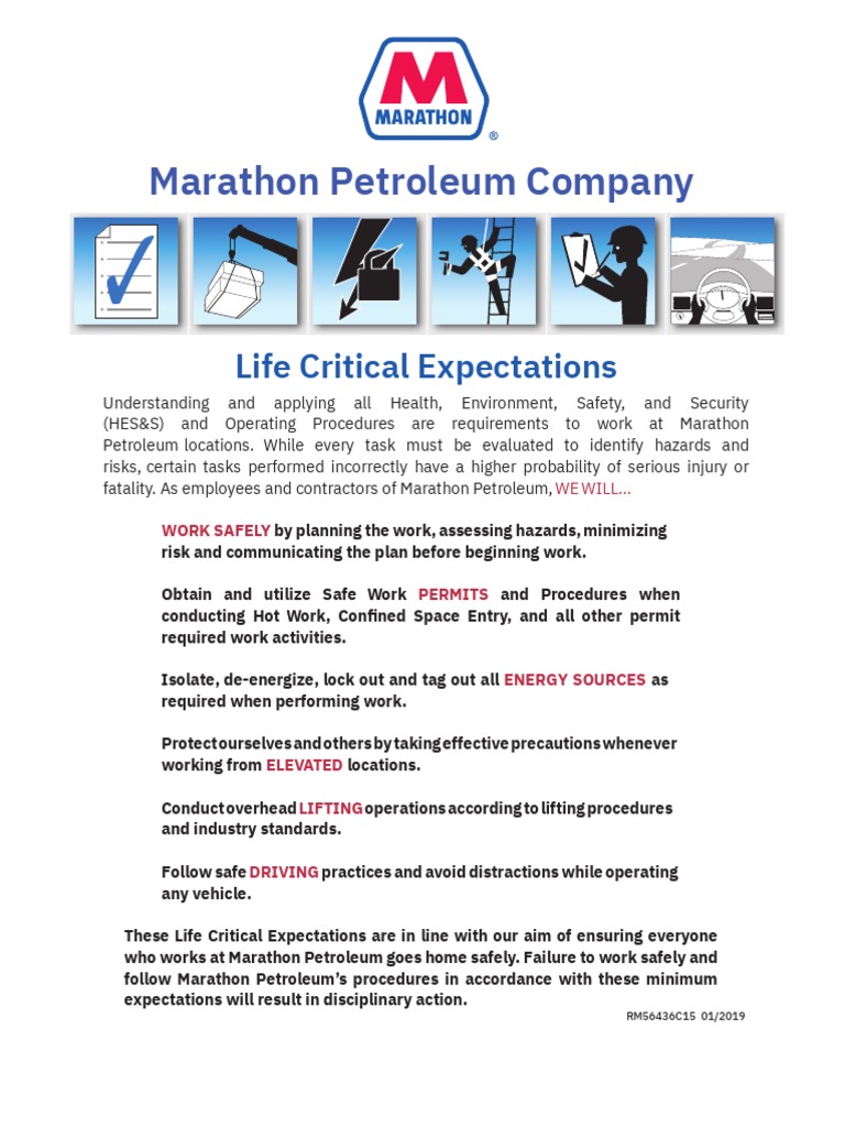 Life Critical 2019 | PDF