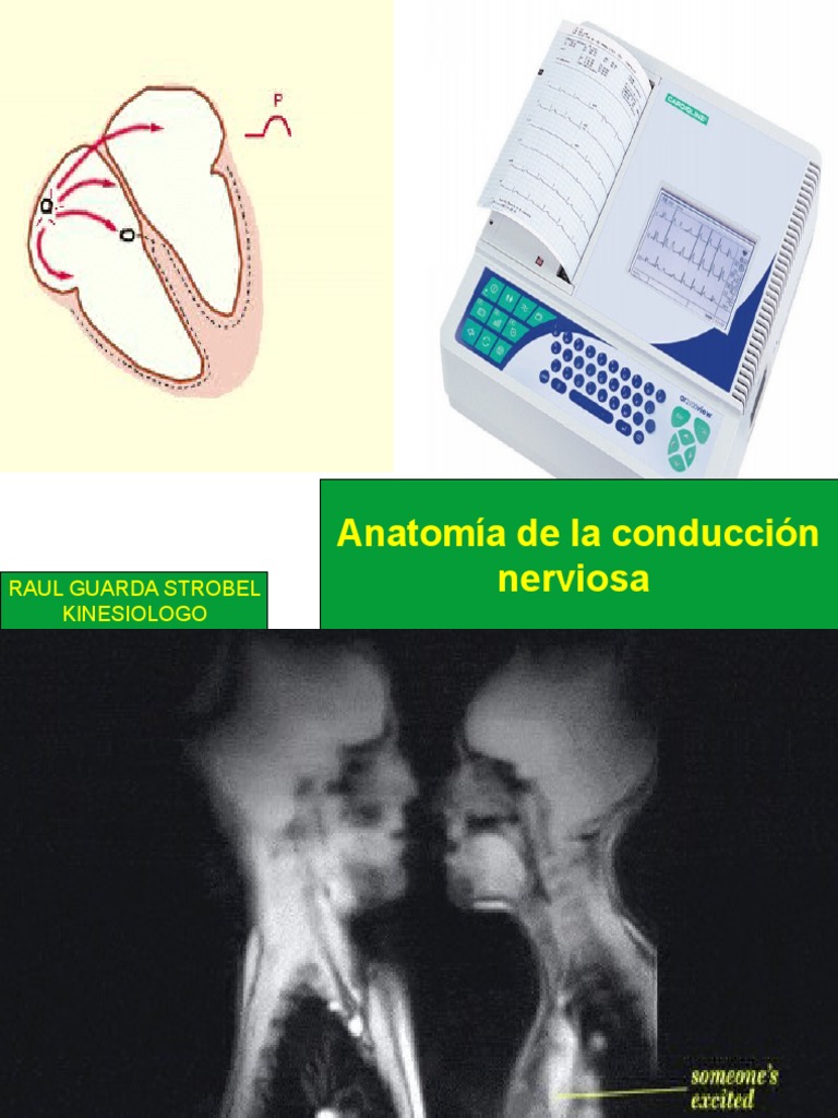 3-Ecg Anatomia | PDF | Electrocardiografia | Corazón