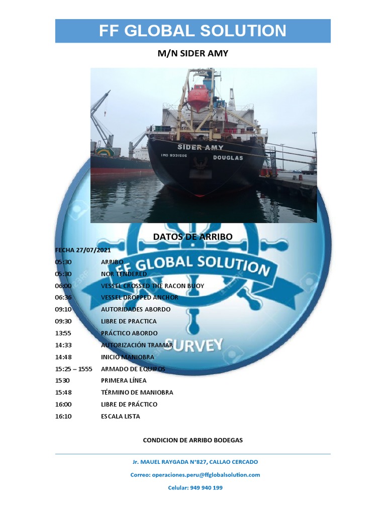 FF Global Solution | PDF