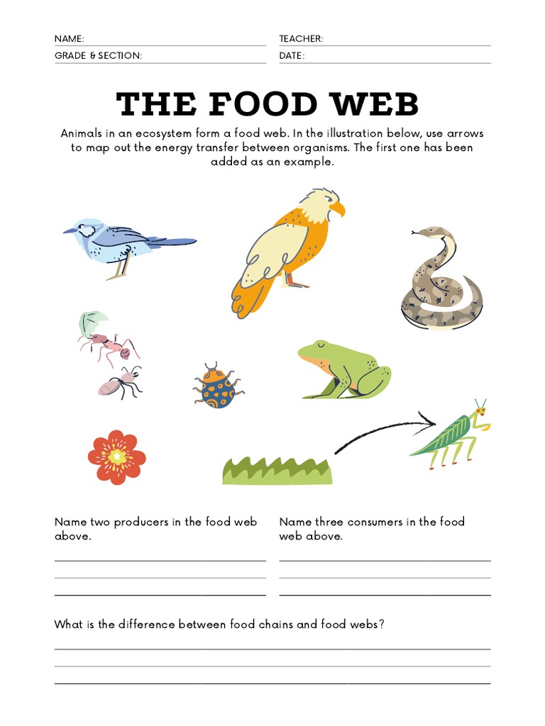 The Foof Web | PDF | Wellness | Science & Mathematics