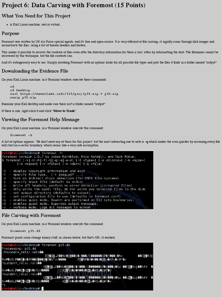 Lab 6 Data Carving With Foremost (15 Points) | PDF | Computer File ...