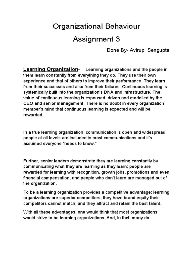 Organizational Behaviour As3 | PDF | Strategic Management | Apple Inc.