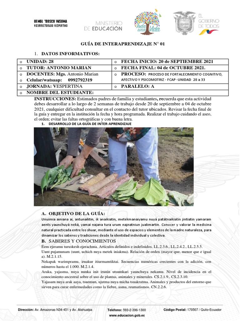 GUIA 1 Unidad 28 4° Grado 2021 | PDF | Estudios de idiomas extranjeros ...
