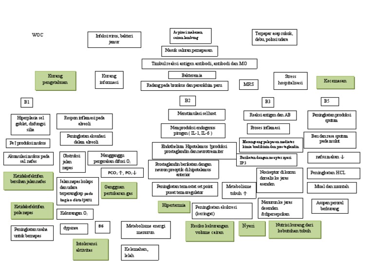 Woc Bronchopneumonia | PDF