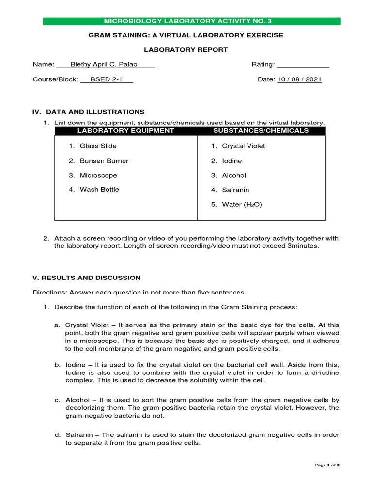 Chapter 2-Palao - Lab Report - Gram Staining | PDF | Staining | Gram ...