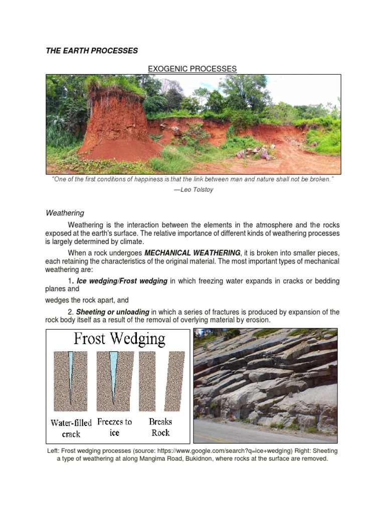 Module 8 (Exogenic Processes) | PDF | Weathering | Erosion