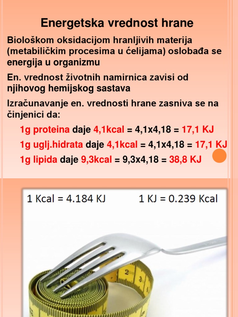 Plan Ishrane | PDF