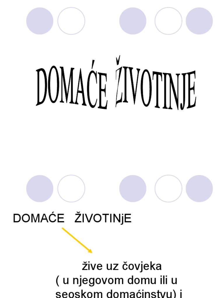 Domace Zivotinje | PDF