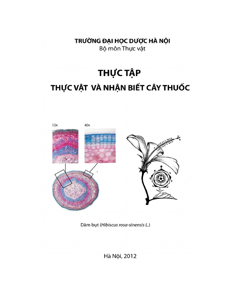 Sach Thuc Tap Thuc Vat | PDF