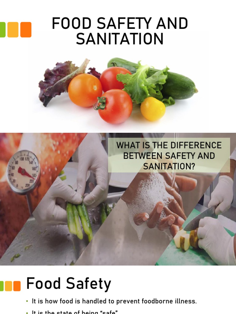 Food Safety and Sanitation Guidelines | PDF | Food Safety | Foods