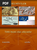 Tatarcik | PDF