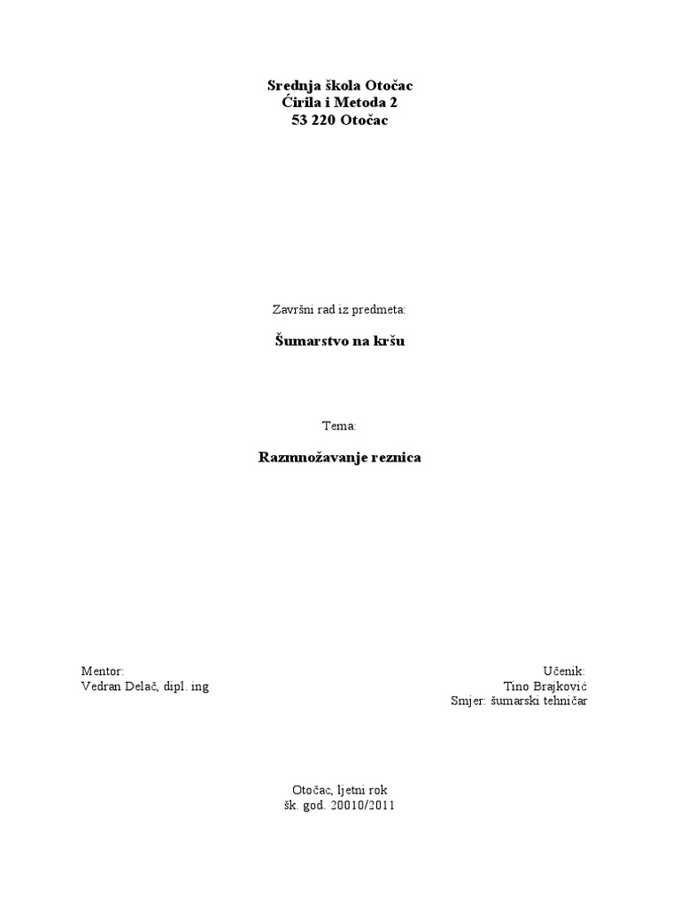 Primjer Završnog Rada | PDF