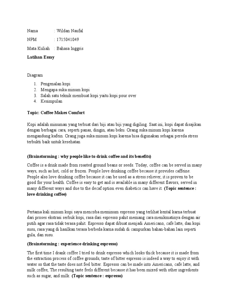 Wildan Naufal 1715041049 Latihan Essay Bahasa Inggris | PDF