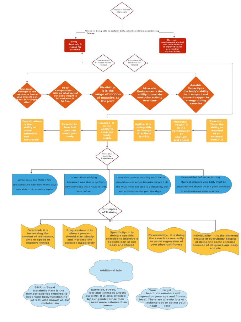 Physical Fitness Graphic Organizer | PDF | Physical Fitness | Muscle