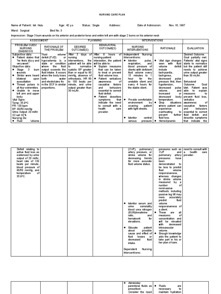 Nursing Care Plan | PDF | Intravenous Therapy | Medical Specialties