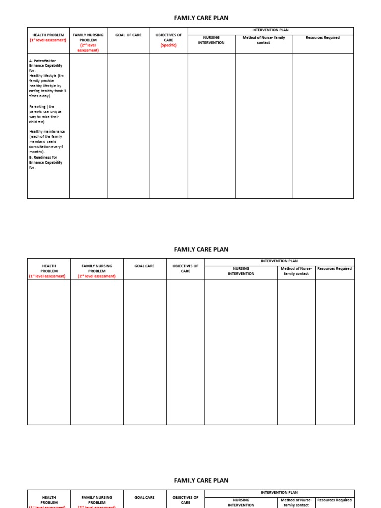 Family Care Plan Form ROSARIO | PDF | Nursing | Health Promotion