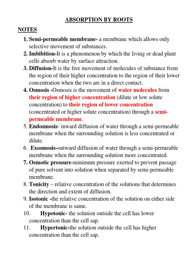 Absorption by Roots | PDF | Osmosis | Chemistry