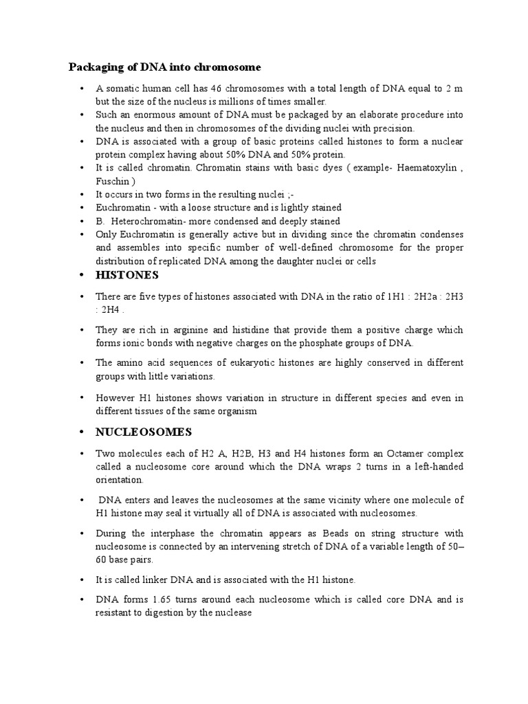 Packaging of DNA Into Chromosome | Download Free PDF | Dna Replication ...