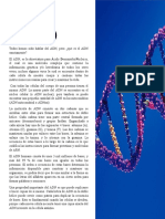 Historia y hallazgo del fósil Naia | PDF | Adn | Vida