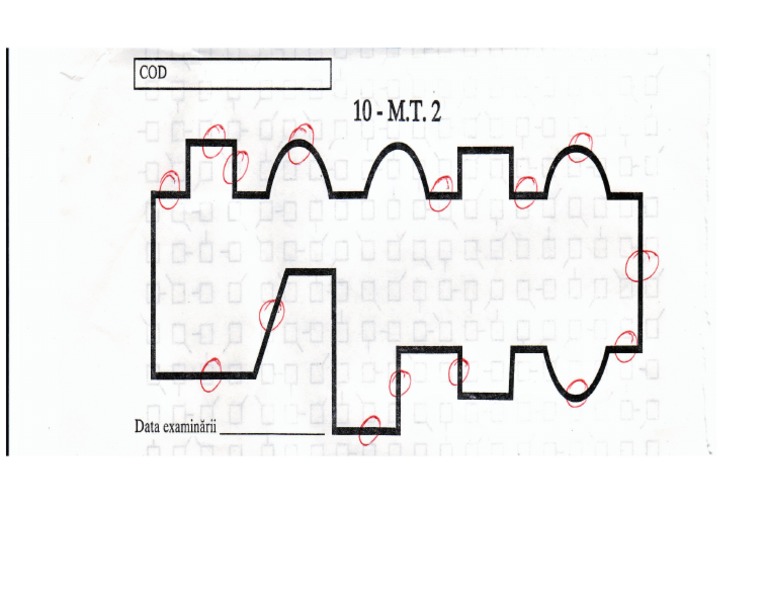 Test Memorie Topografica | PDF