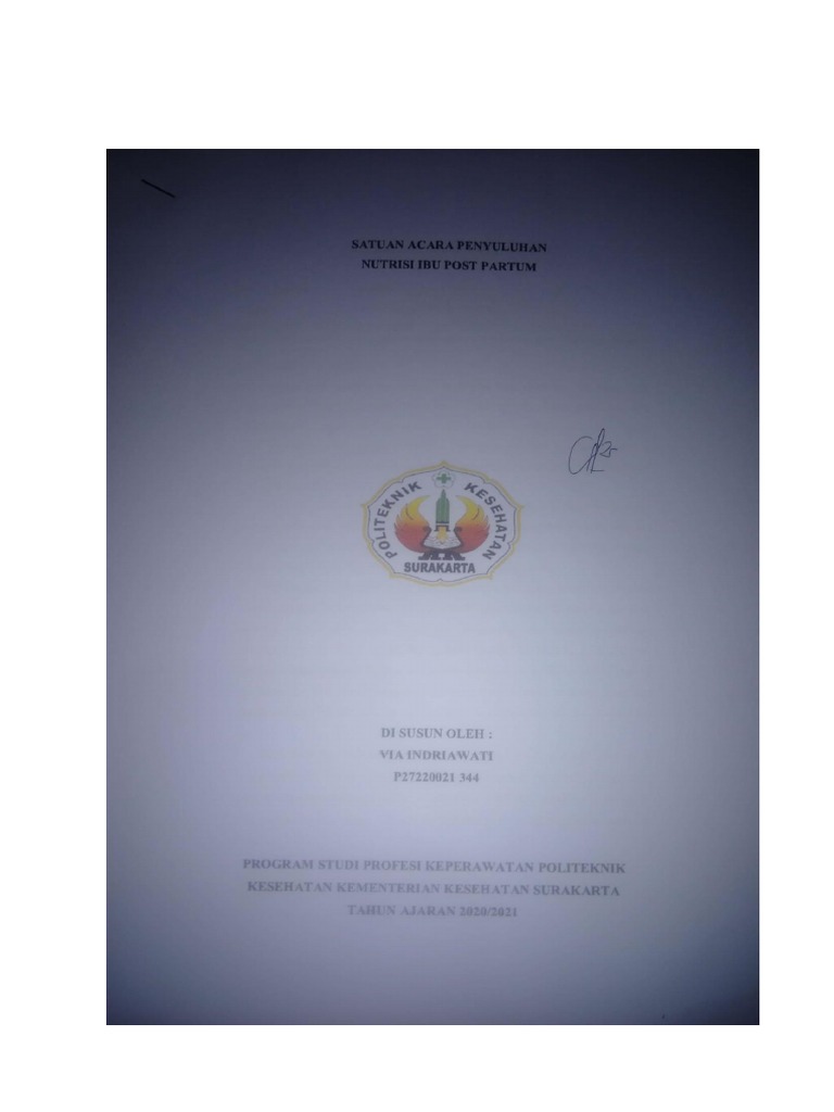 Sap Nutrisi Ibu Post Partum | PDF