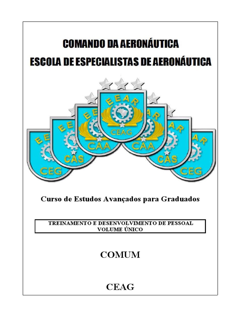 Ceag - Treinamento e Desenvolvimento de Pessoal - Turma 1-2021 | PDF ...
