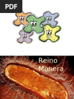 Ciclo Monoxeno e Heteroxeno e Medidas Profiláticas - Parasitologia | PDF