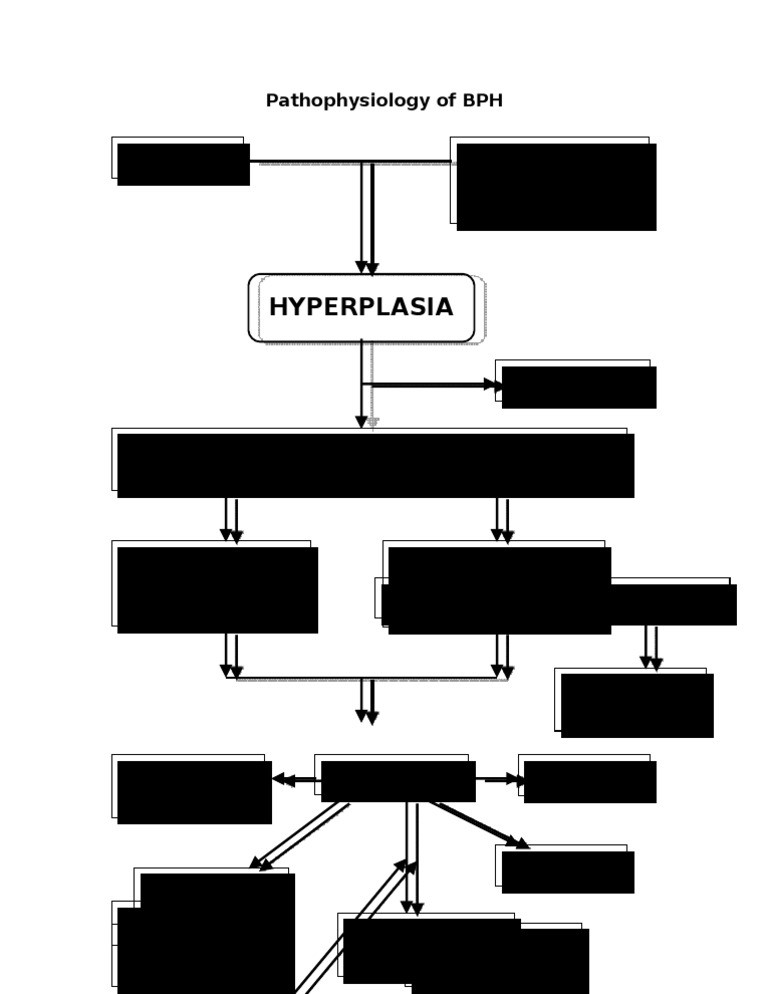 Pathophysiology of BPH | PDF | Urinary Incontinence | Urology