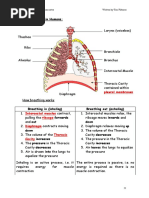 1B Chapter 7 (Gas Exchange) Exercise Solution | PDF | Lung ...