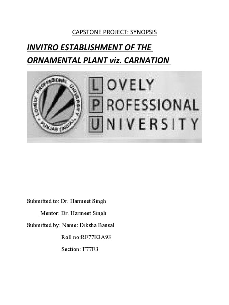 CAPSTONE PROJECT Synopsis | PDF