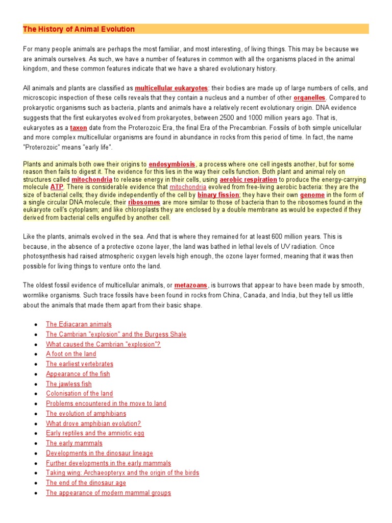 Evolutionary History of Animals | PDF | Cell (Biology) | Eukaryotes