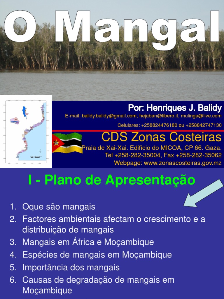 Mangais Versao2014 | PDF | Mangue | Geografia Física