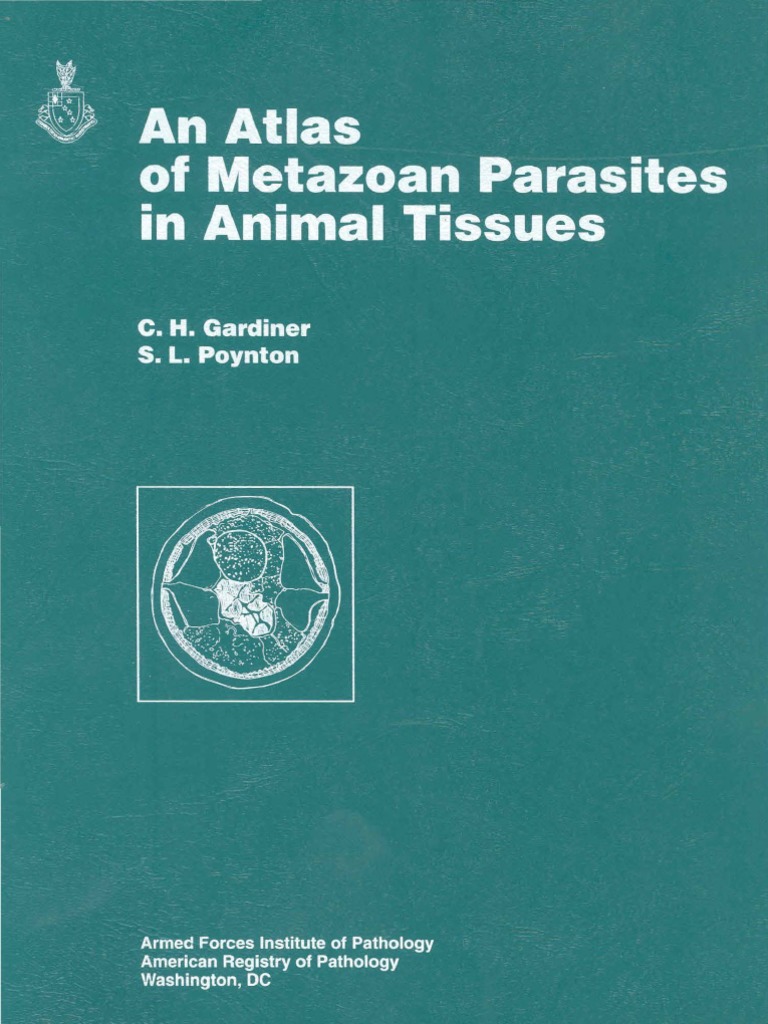 Atlas Metazoario | Download Free PDF | Nematode | Esophagus