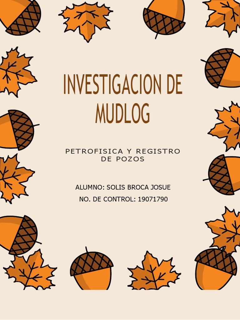 MUDLOG | PDF | Gases | Presión