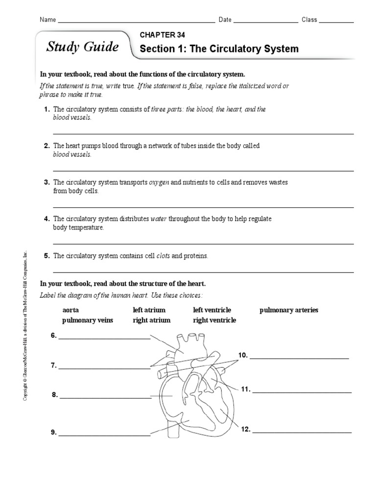 Study Guide: Section 1: The Circulatory System | PDF | Circulatory ...