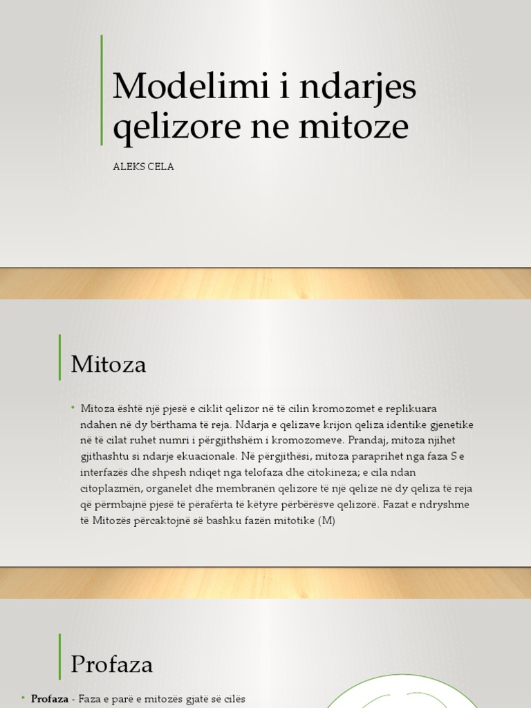 Modelimi I Ndarjes Qelizore Ne Mitoze | PDF