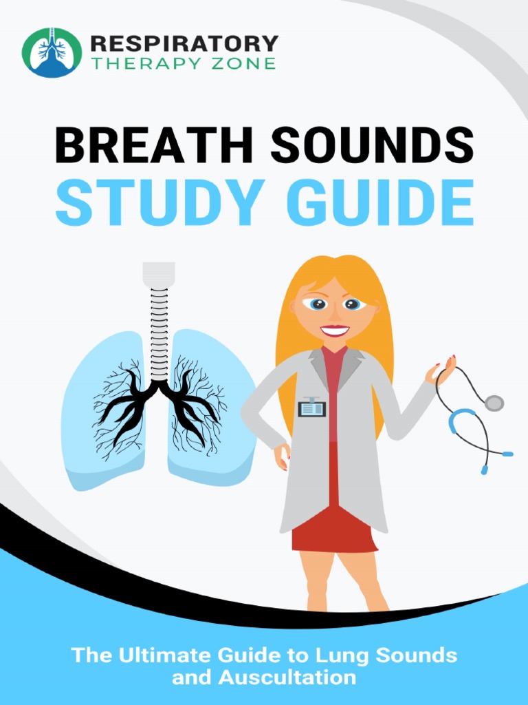Breath Sounds Study Guide | PDF | Respiratory Tract | Lung