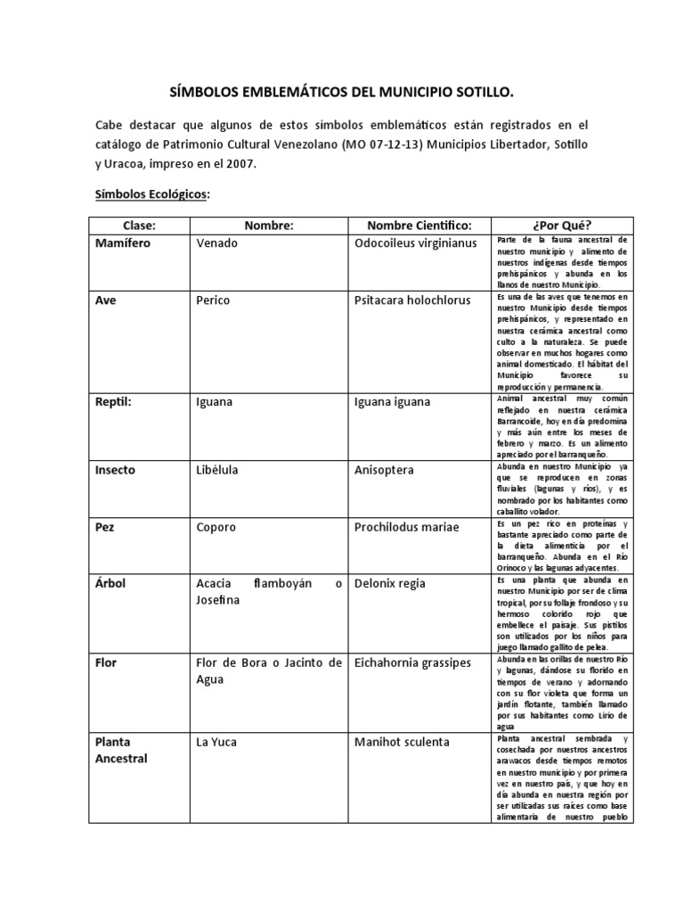 ACTA Símbolos Del Municipio | PDF