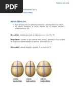 Analisis Facial | PDF | Ortodoncia | Odontología