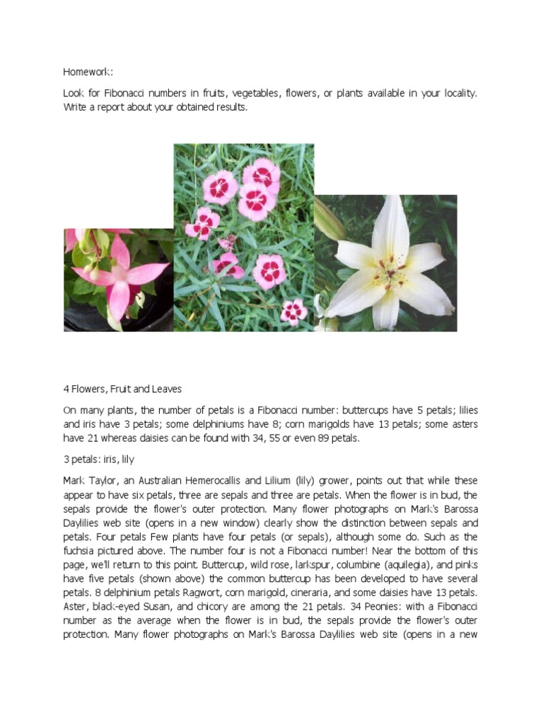 Fibonacci Numbers in Fruits (Done) 09-17-2021 Math | PDF