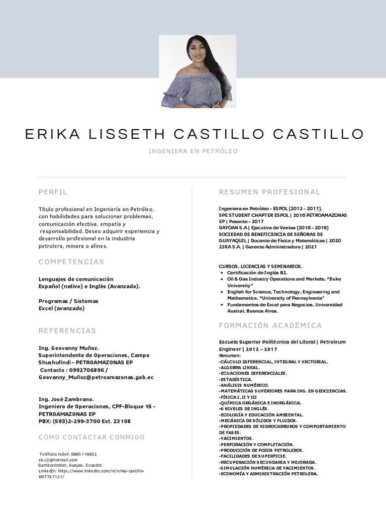 CV - Erika Castillo | PDF | Petróleo