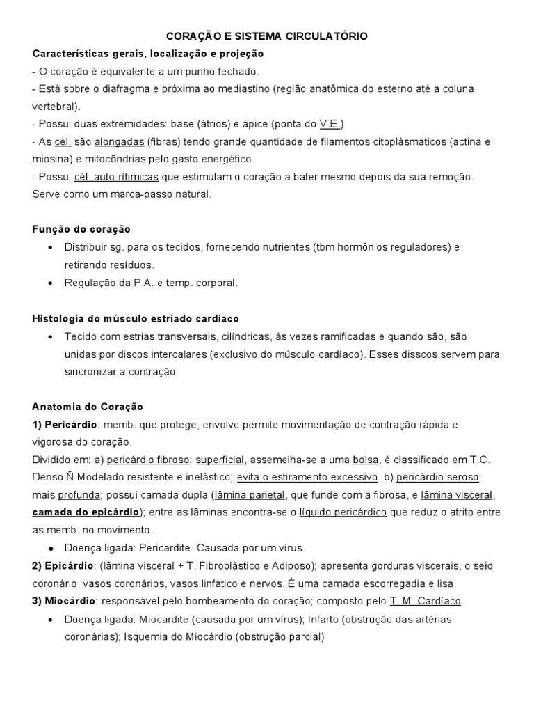 O Funcionamento Do Coração E Do Sistema Circulatório Características