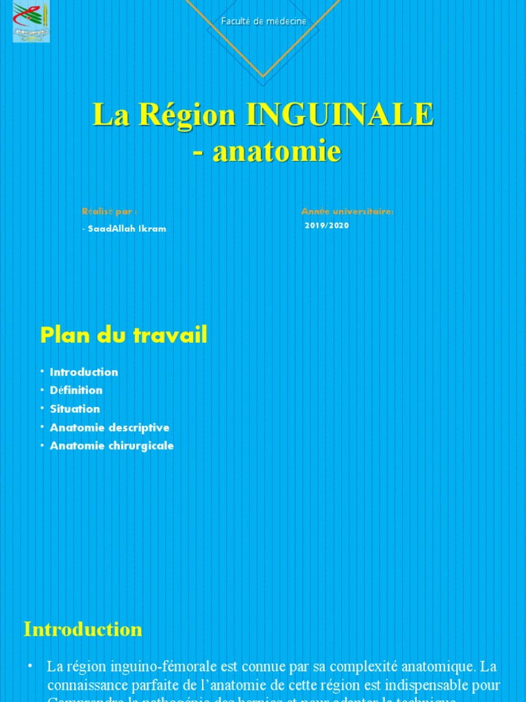 Anatomie de la région inguinale | PDF | Péritoine | Anatomie humaine