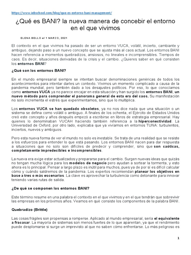 El Entorno Bani | PDF | Ansiedad | Inteligencia artificial