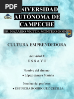Modelo Politico | PDF | Toma de decisiones | Cognición